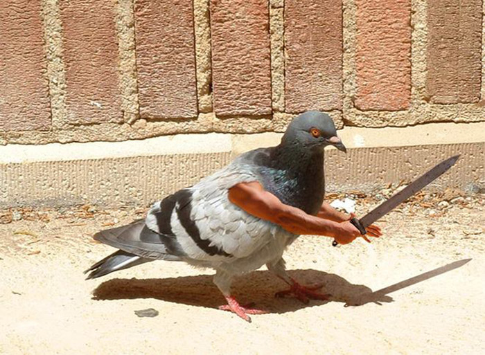 Siap-siap Tertawa, Ini Kumpulan Meme 'Birds With Arms' Paling Kocak ...