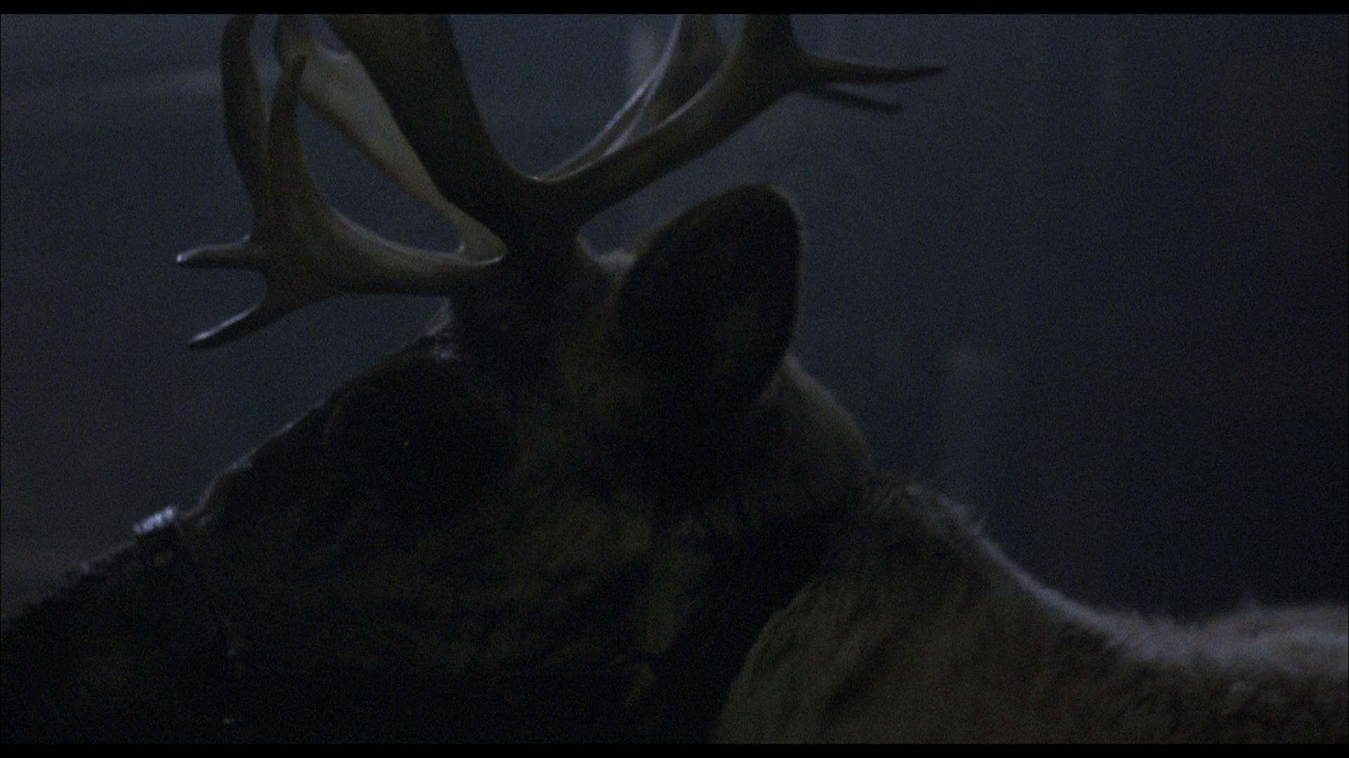 Prancer (1989) - Page 3 - Blu-ray Forum